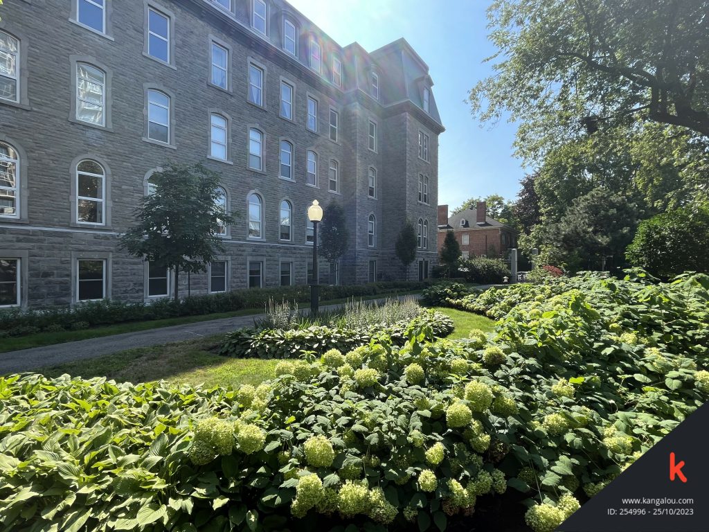 230-rue-sherbrooke-est - MontrealRES